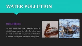 WATER POLLUTION EVRS.pptx | Indoor Environmental Quality | Home & Garden