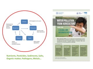 Water pollution from agriculture: global drivers, local effects | PPTX