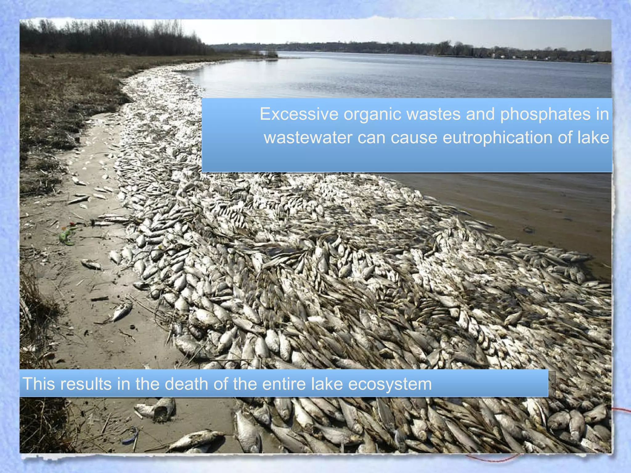 Water pollution from households_Karan Rajpal_2012 | PPT