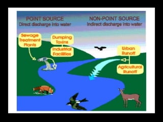 Water pollution grade 11 IB ESS | PPTX
