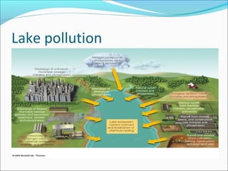 Water pollution i | PPT