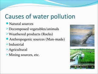Main Causes Of Water Pollution