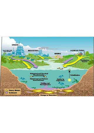 Water pollution in geology based | PDF