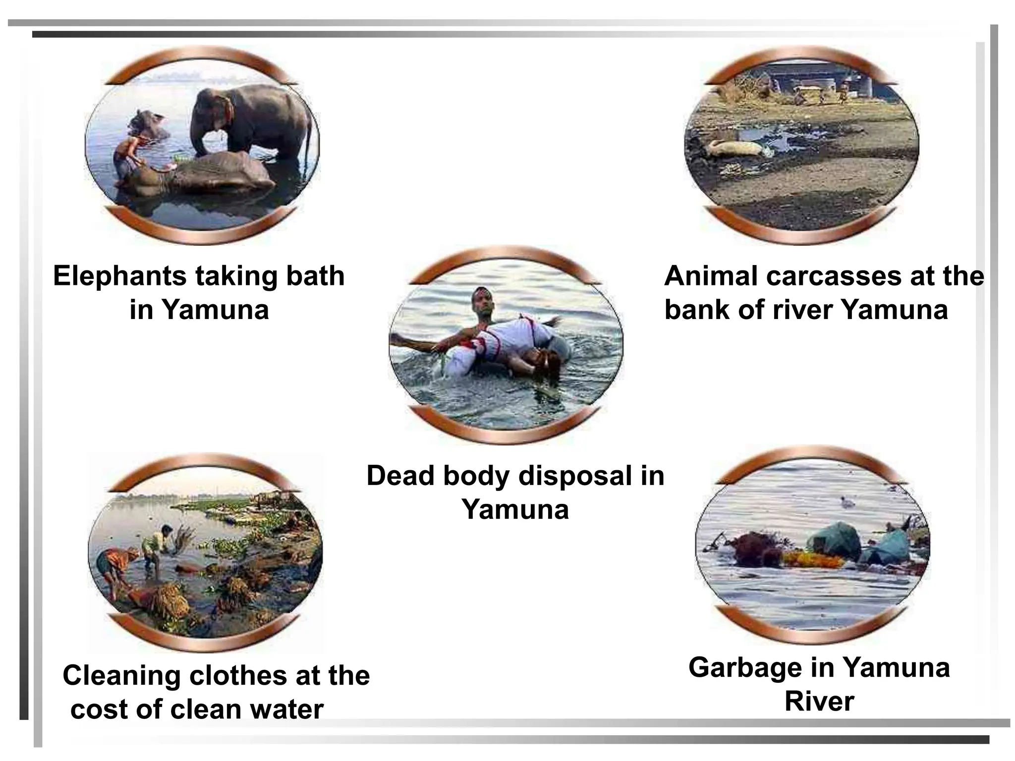 environment and water pollution in yamuna.ppt