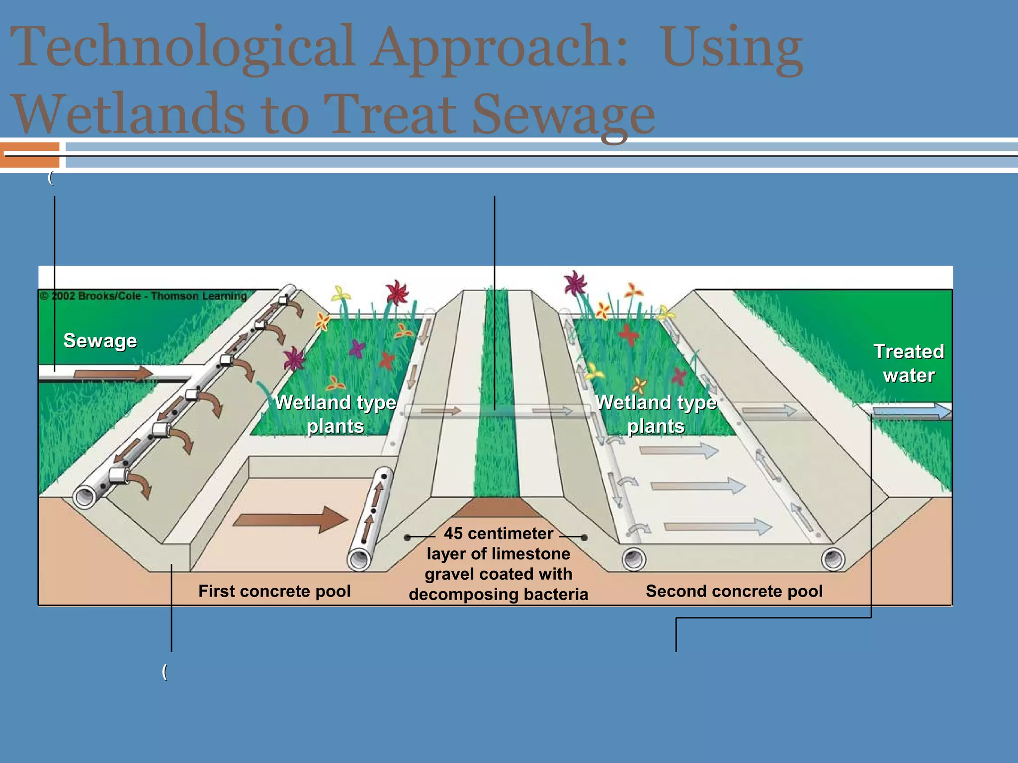 Water pollution lecture | PPT