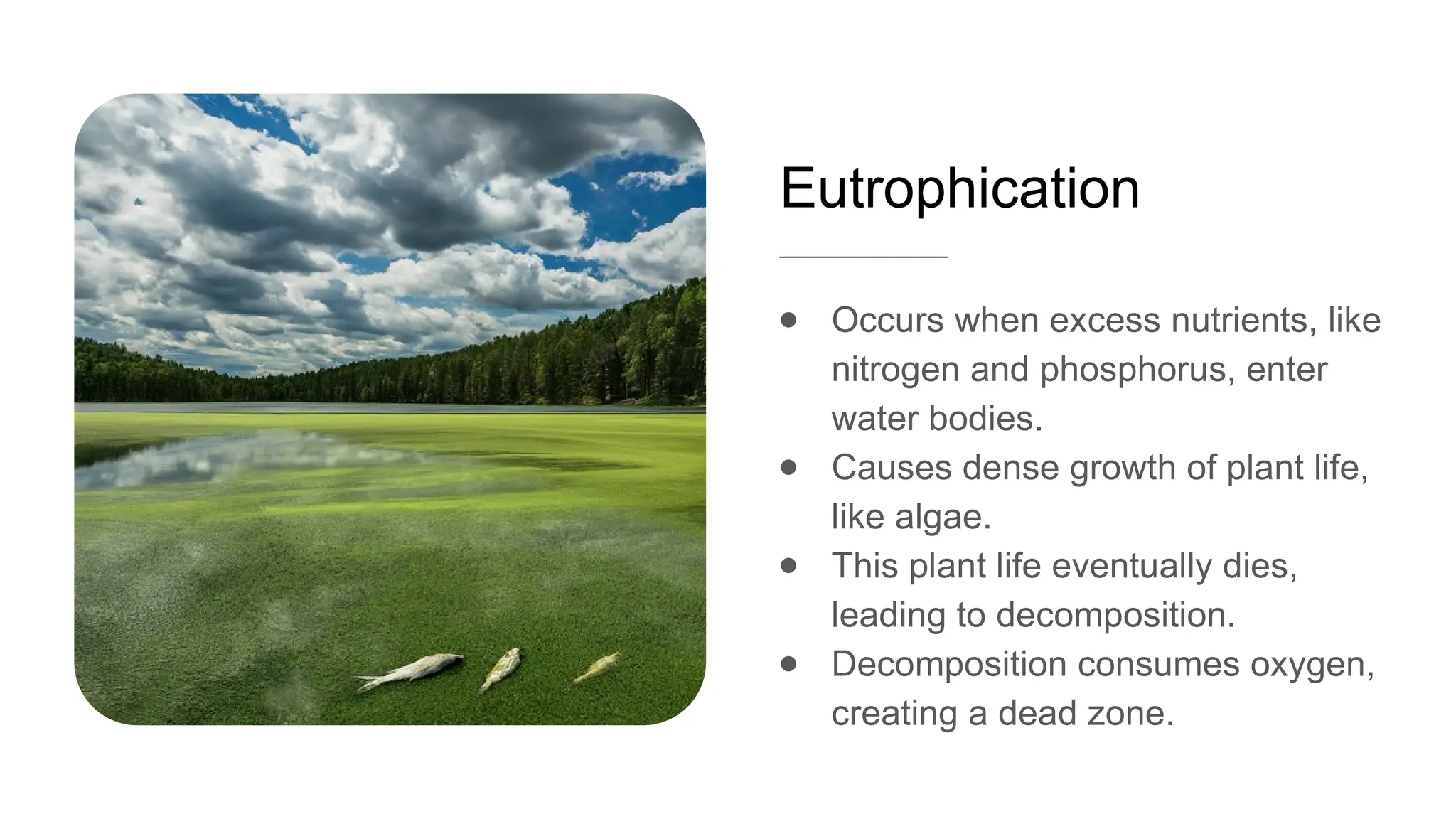 WaterPollutionLessonSlideShowPresentationFREEEditable-1.pptx