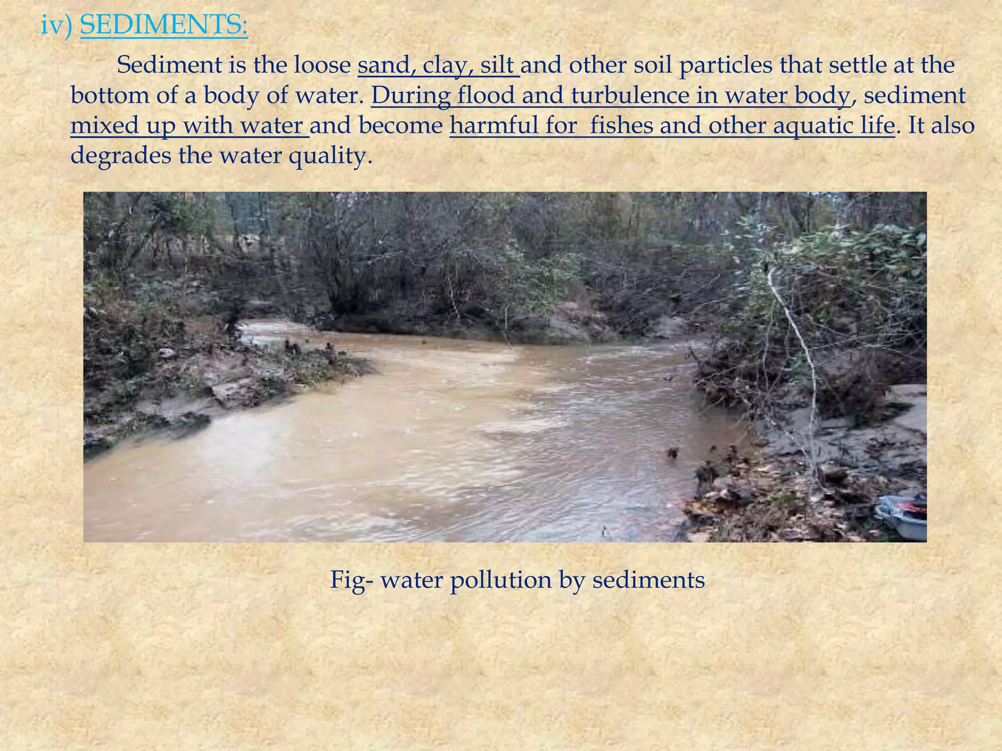 Water pollution | PPTX