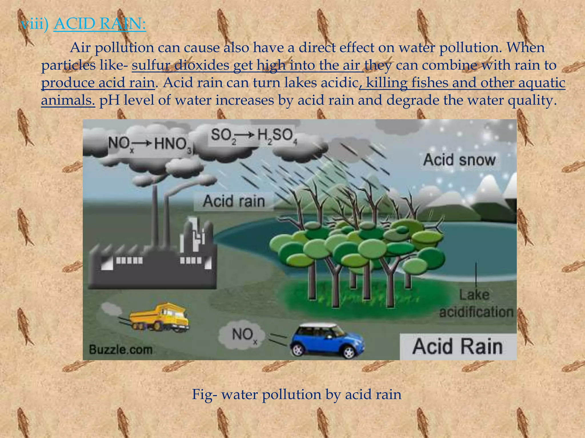 Water pollution | PPTX