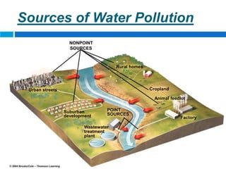 Water Pollution | PPTX
