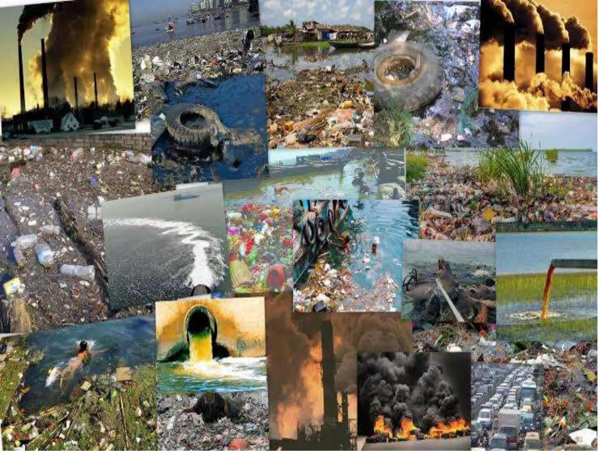 Water pollution presentation | PPTX