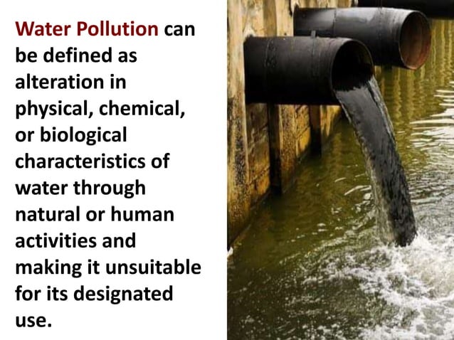 Water pollution presentation | PPT