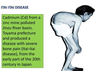 Itai Itai Disease In Japan