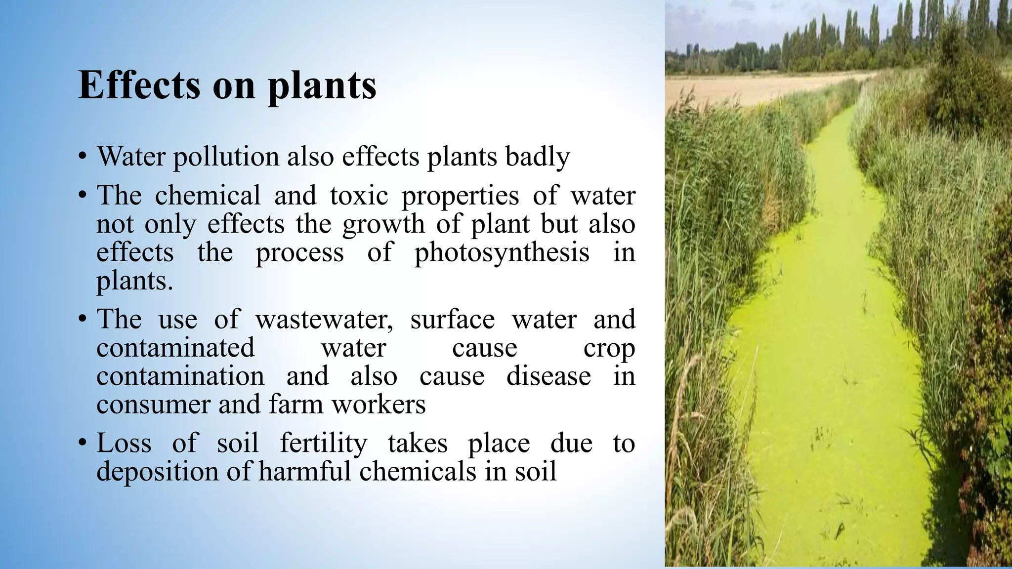 WATER POLLUTION RESOURCES OF PAKISTAN.pptx