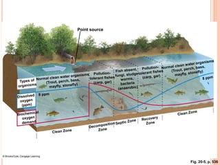 Water Pollution Shiva.ppt