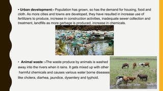 Water pollution | PPTX