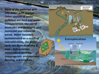 Water pollution by group3 | PPTX