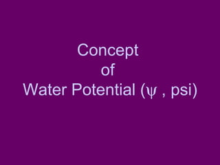 Water Potential | PPT