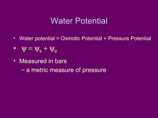 Water Potential | PPT