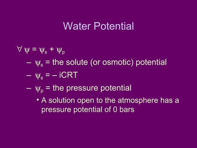 Water Potential | PPT