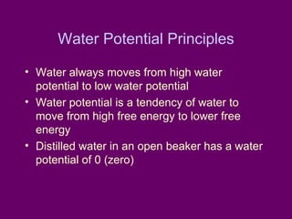 Water Potential | PPT