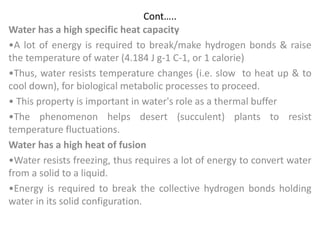 water potential.pptx
