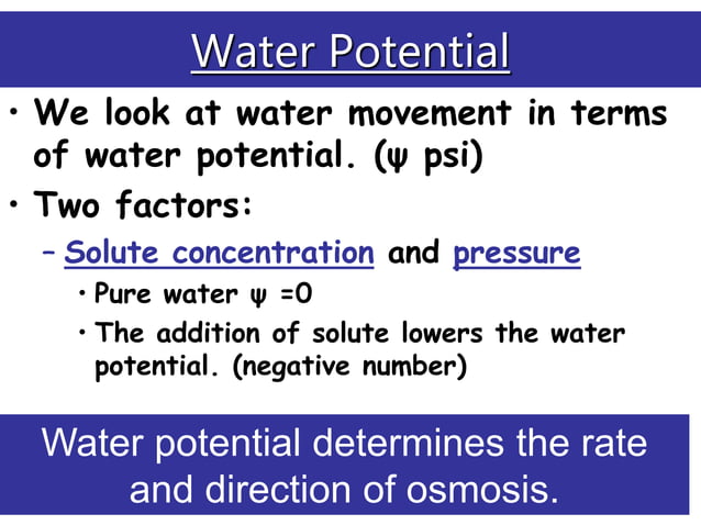 Water Potential.ppt | Chemistry | Science