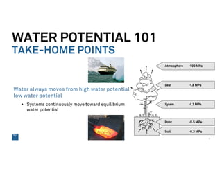 Water Potential 101: What It Is. Why You Need It. How To Use It. | PDF