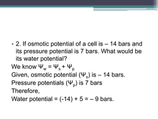 Water potential and its components | PPTX