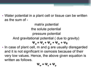 Water potential and its components | PPTX