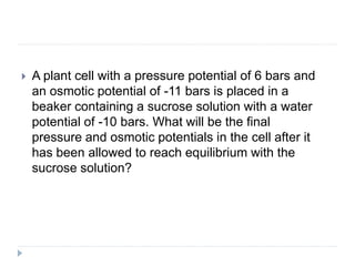 Water+potential+explained | PDF