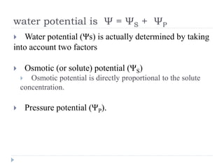 Water+potential+explained | PDF