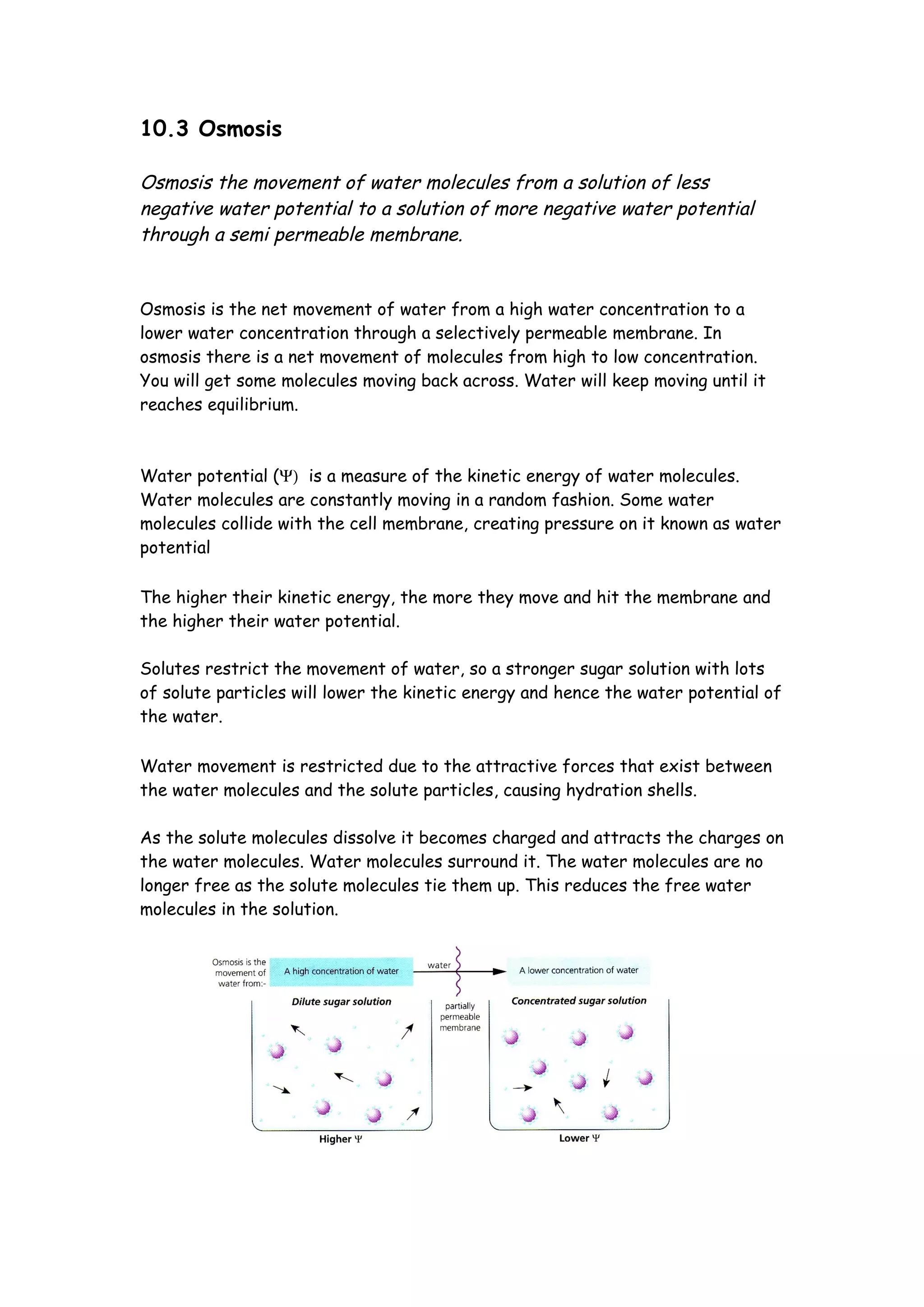 Water potential (osmosis) extension | PDF