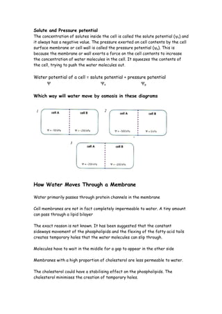 Water potential (osmosis) extension | PDF