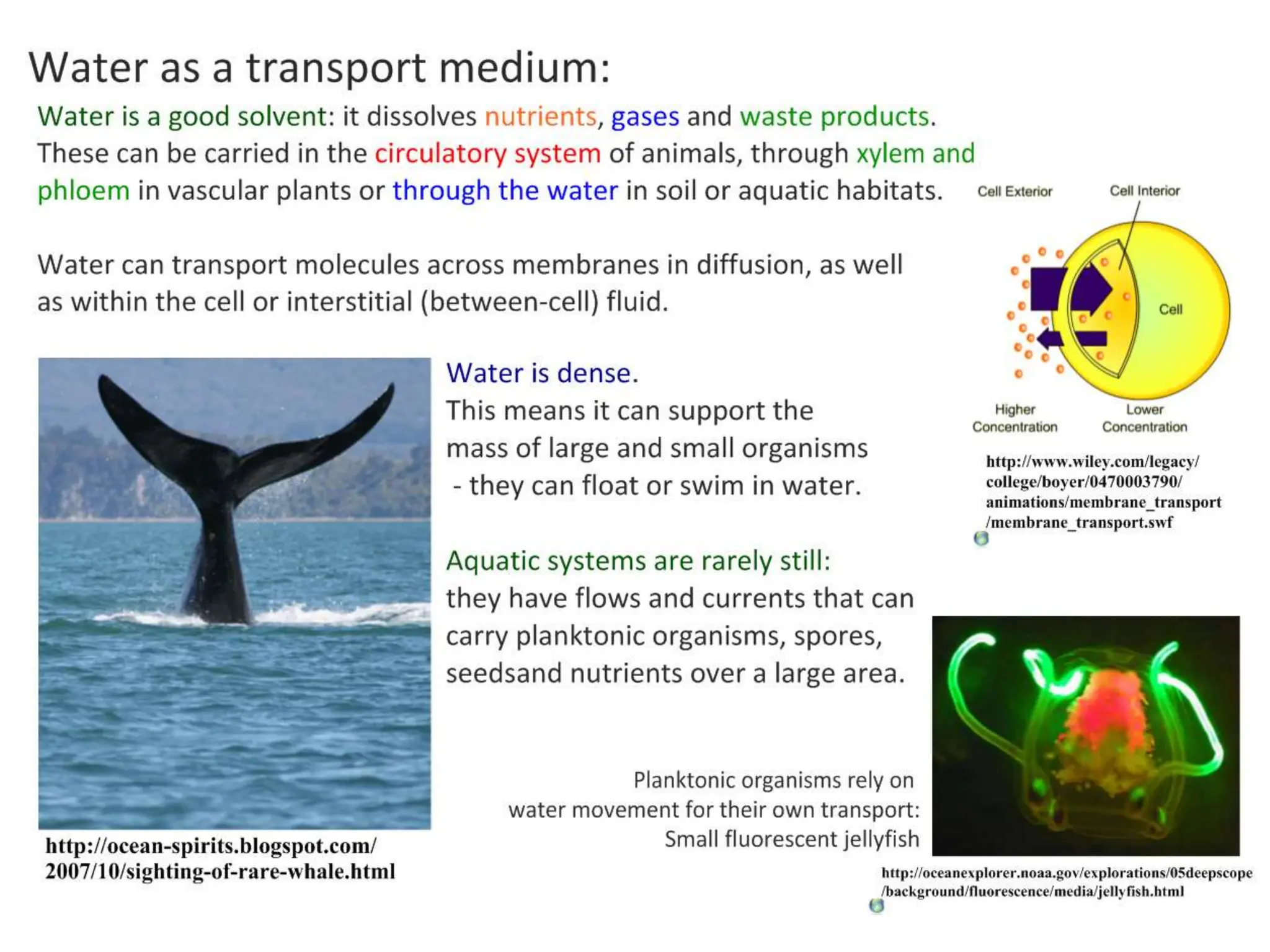 Water ppt.pptx topic 2.2 IBDP biology 1 | PPTX