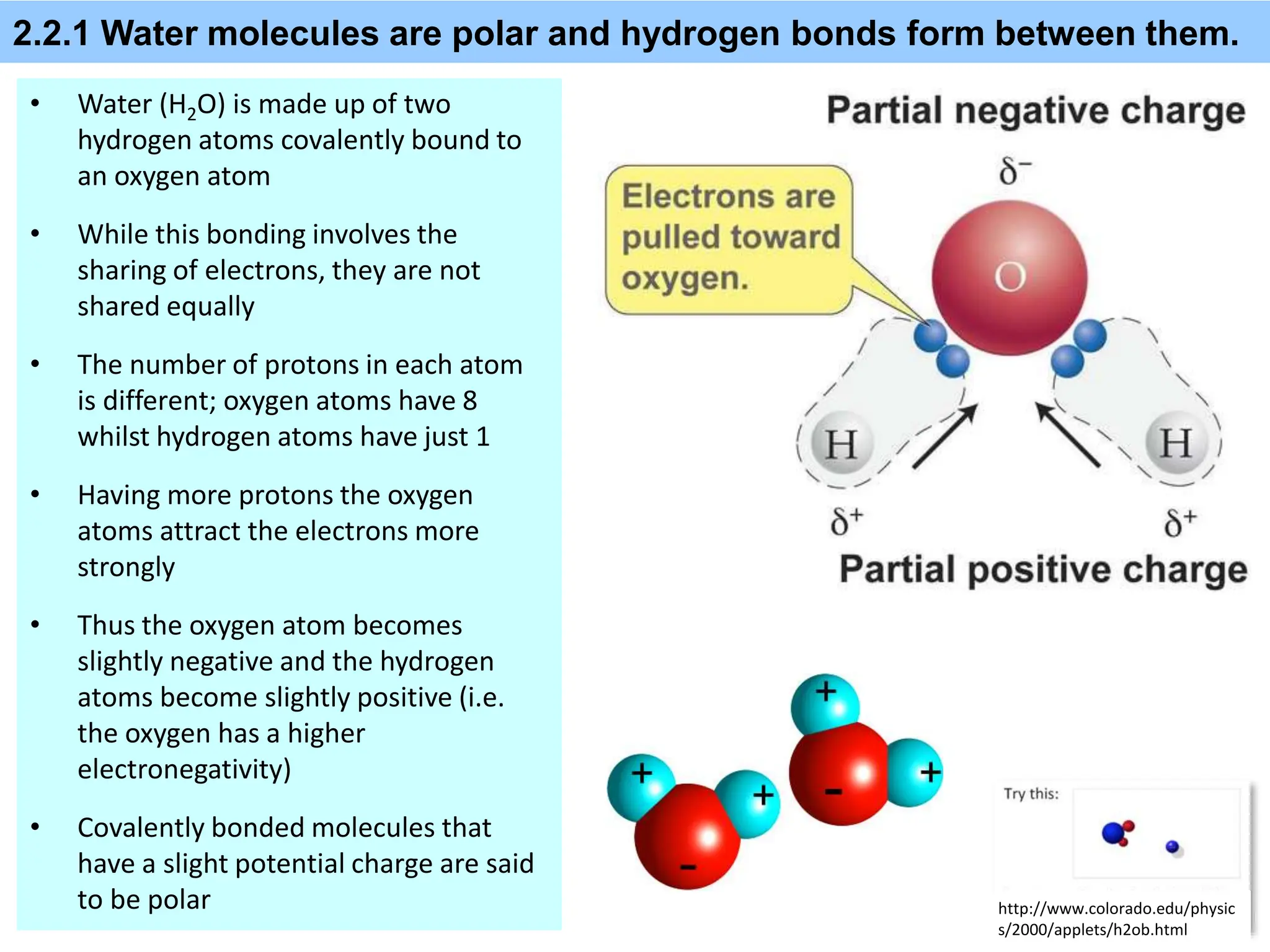 Water ppt.pptx topic 2.2 IBDP biology 1 | PPTX