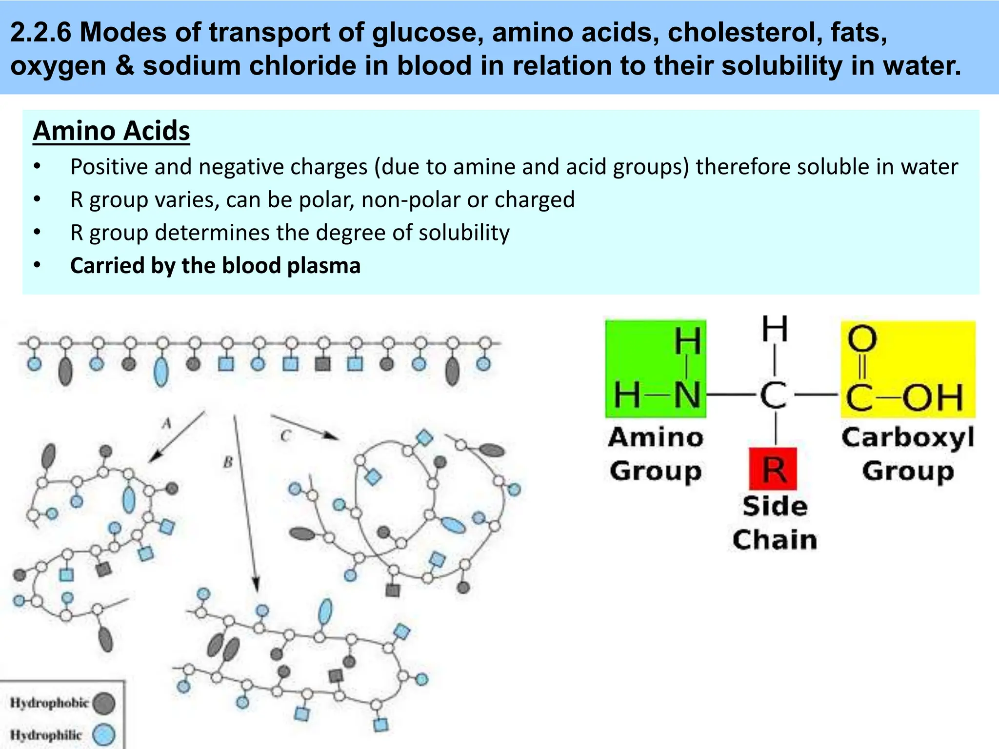 Water ppt.pptx topic 2.2 IBDP biology 1 | PPTX