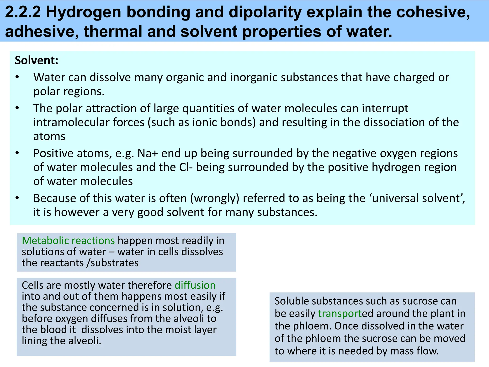 Water ppt.pptx topic 2.2 IBDP biology 1 | PPTX