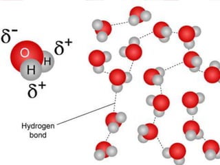 Water ppt.pptx topic 2.2 IBDP biology 1 | PPTX