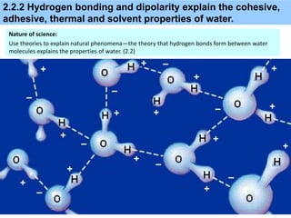 Water ppt.pptx topic 2.2 IBDP biology 1 | PPTX