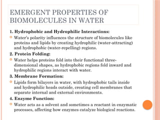 Introduction of Water Properties of Water Ionization of Water Essential ...