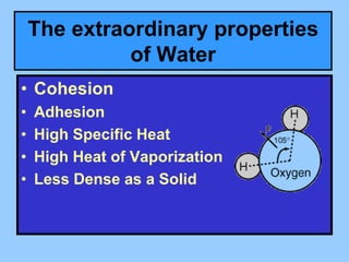 Water ppt 2 | PPT