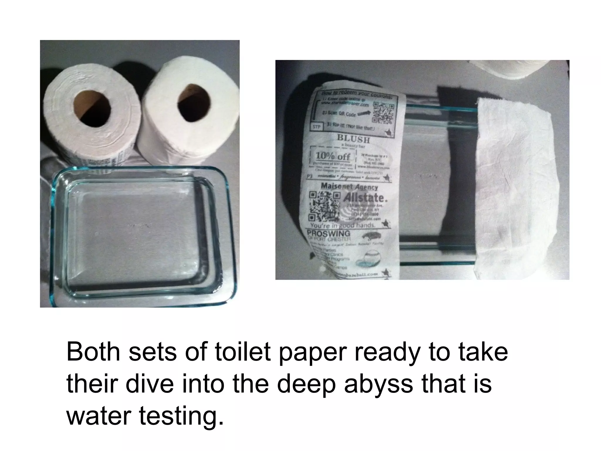 Printed Toilet Paper | PPT
