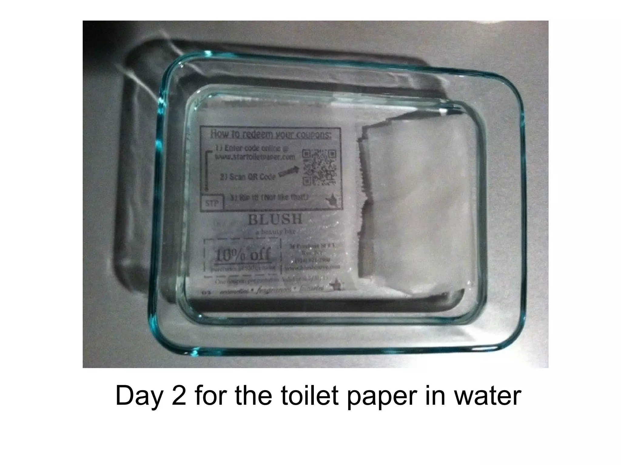 Printed Toilet Paper | PPT