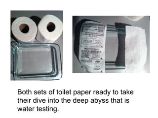 Printed Toilet Paper | PPT