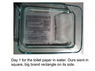 Printed Toilet Paper | PPT