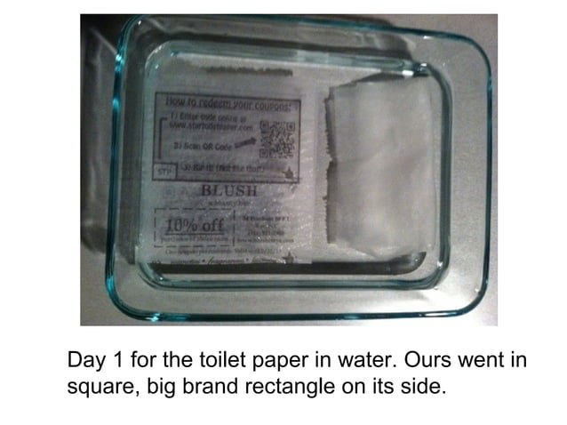 Printed Toilet Paper | PPT