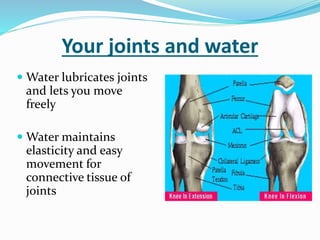 Water presentation, Advantages of drinking water, | PPTX