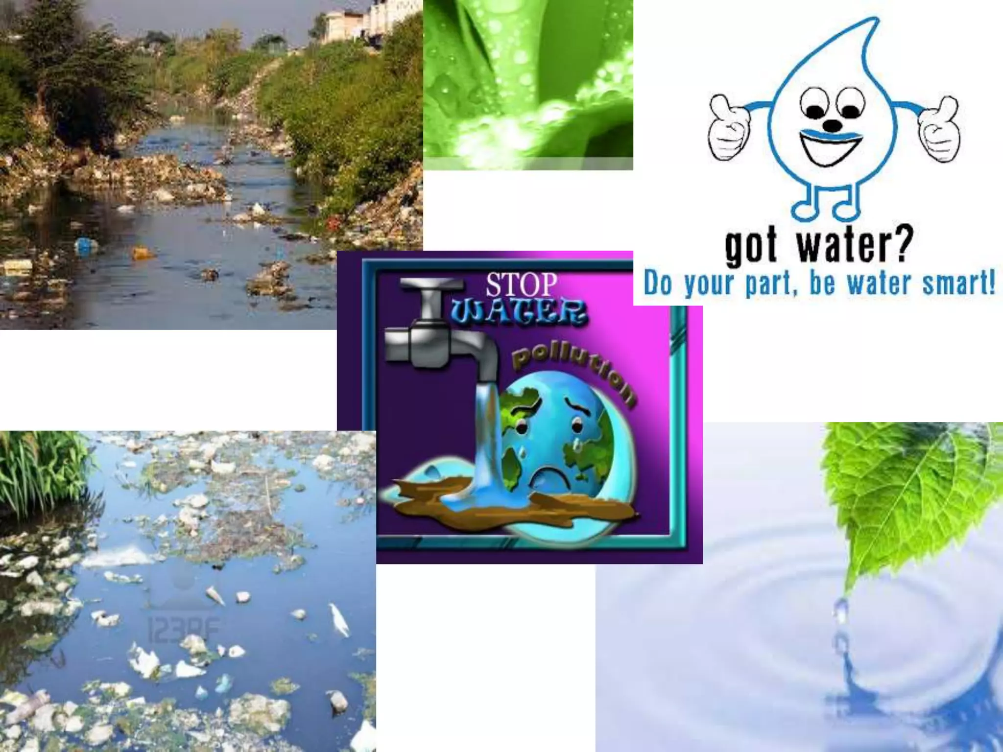 Water (prevention & control of pollution) act, 1974 | PPTX