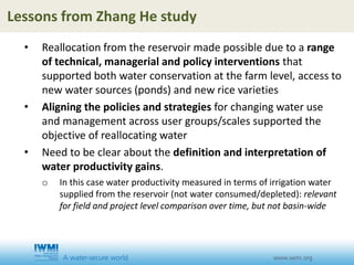 Irrigation Efficiency vs. Water Productivity: Uses, limitations and ...