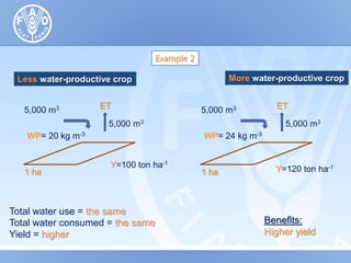 Technical Seminar “Water Efficiency, Water Productivity, Water Saving ...